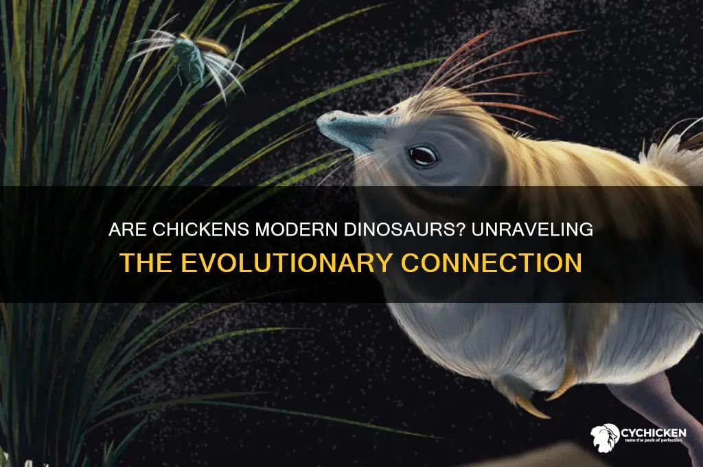 Are Chickens Modern Dinosaurs? Unraveling The Evolutionary Connection ...