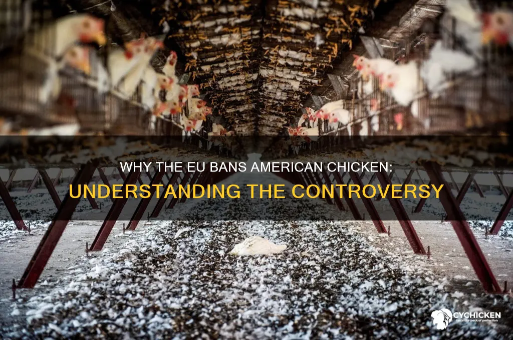Why The Eu Bans American Chicken: Understanding The Controversy | CyChicken