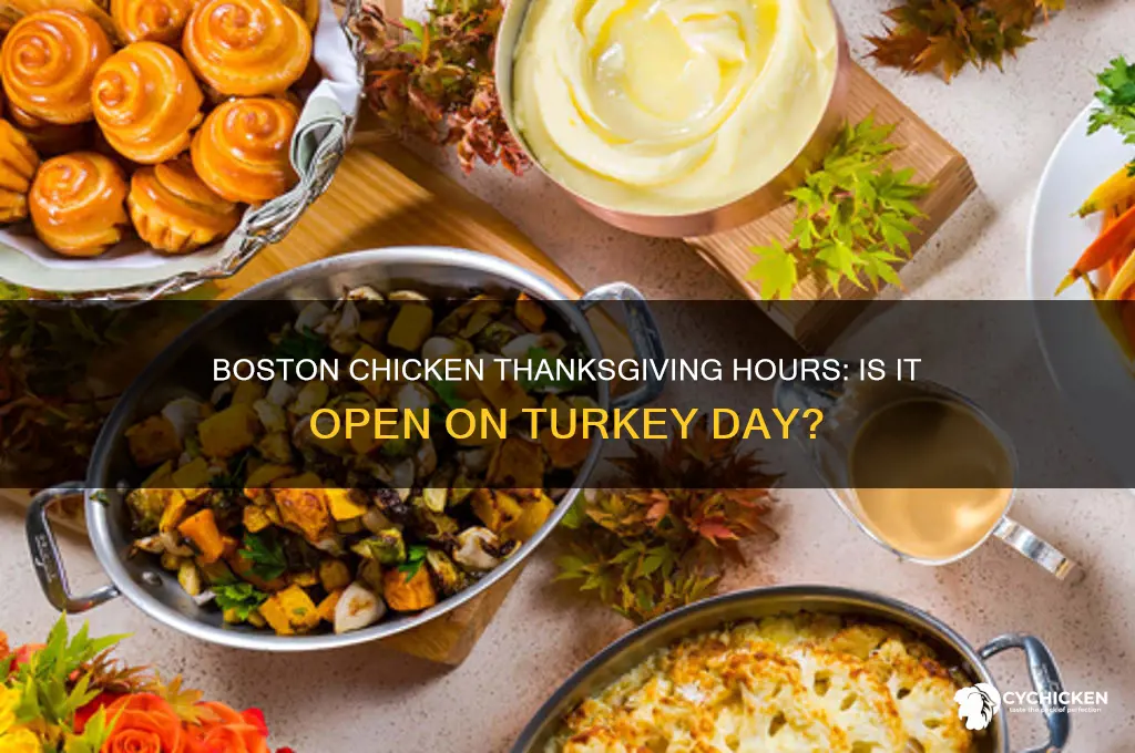 Boston Chicken Thanksgiving Hours: Is It Open On Turkey Day? | CyChicken