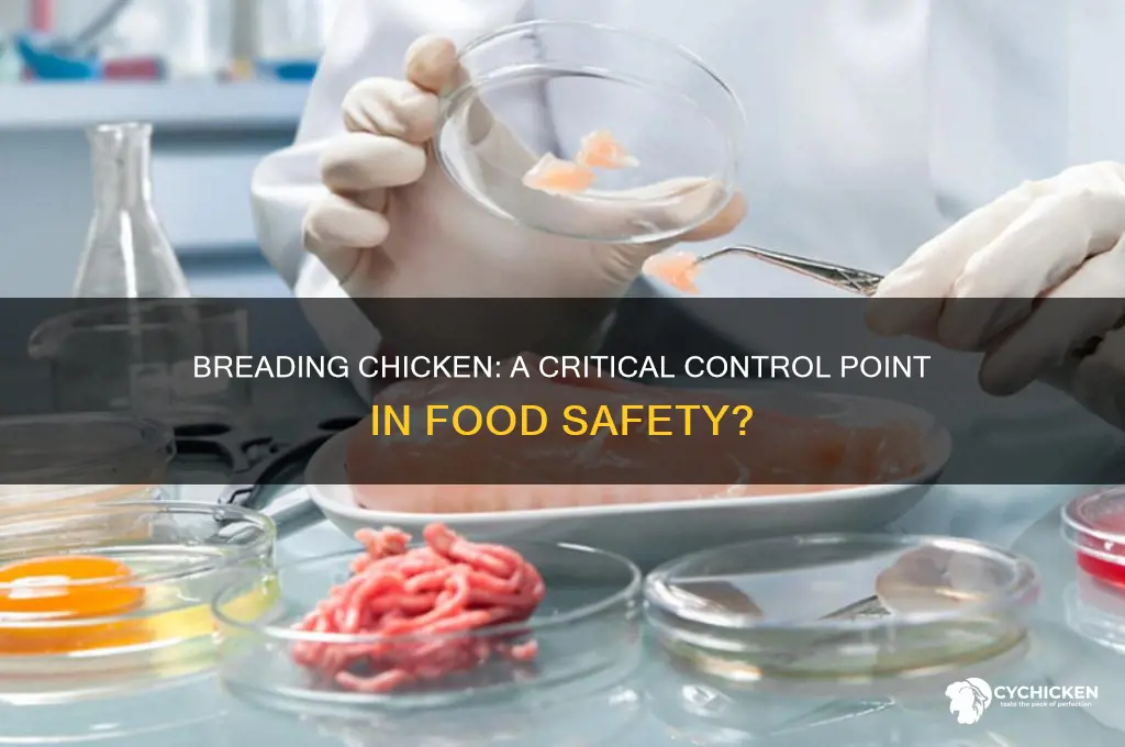 Breading Chicken: A Critical Control Point In Food Safety? | CyChicken