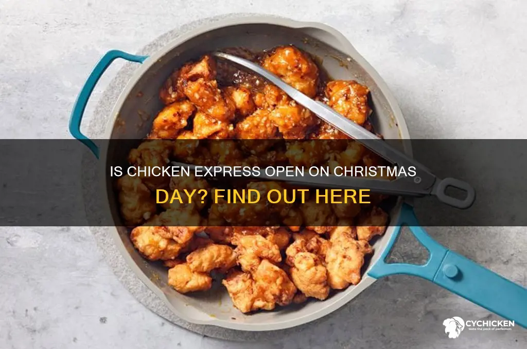 Is Chicken Express Open On Christmas Day? Find Out Here | CyChicken