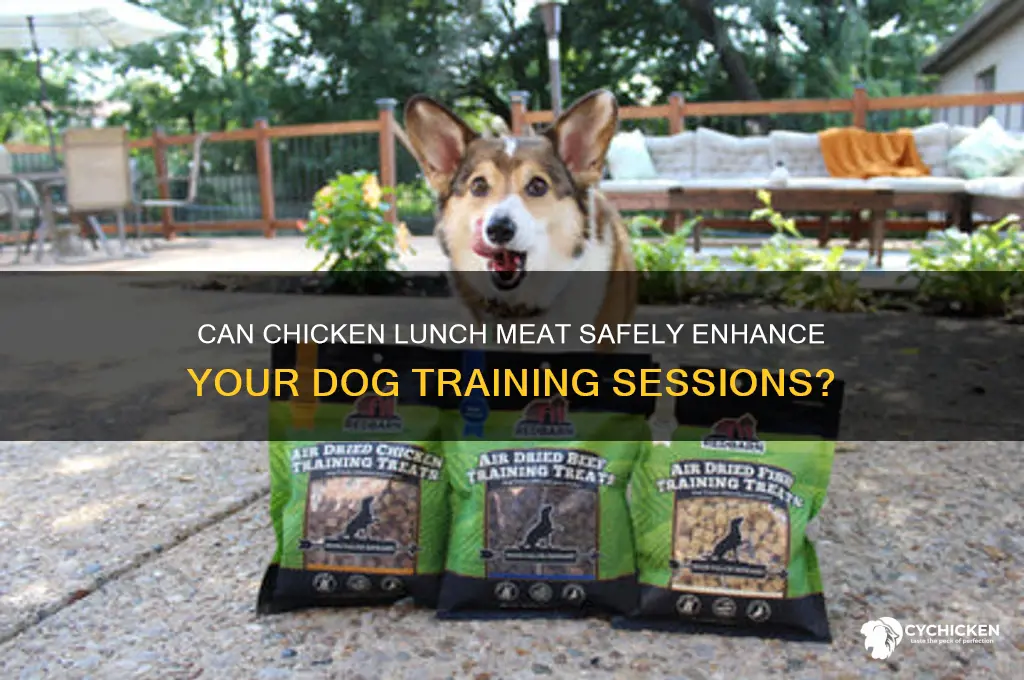 Can Chicken Lunch Meat Safely Enhance Your Dog Training Sessions ...