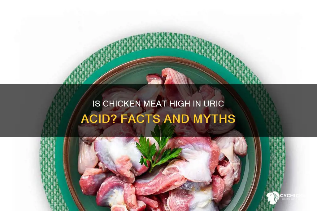 Is Chicken Meat High In Uric Acid? Facts And Myths | CyChicken