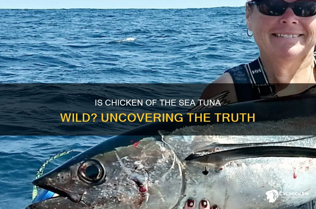 Extraordinary Tuna Chicken Of The Sea Pictures