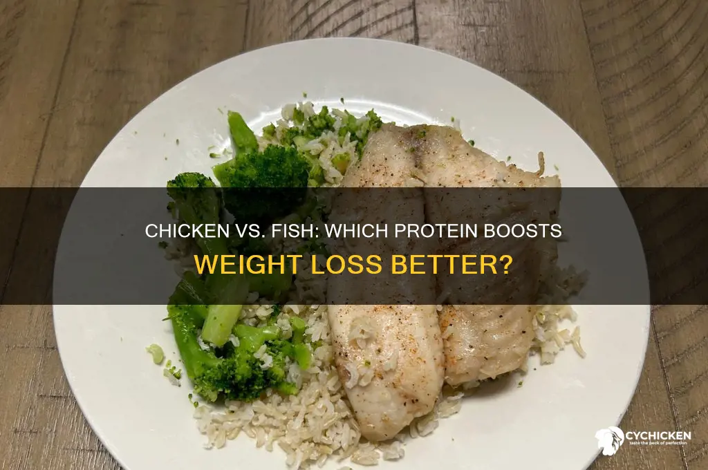 Chicken Vs. Fish: Which Protein Boosts Weight Loss Better? | CyChicken
