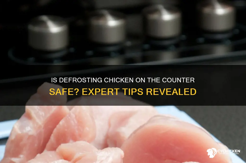 Is Defrosting Chicken On The Counter Safe? Expert Tips Revealed | CyChicken