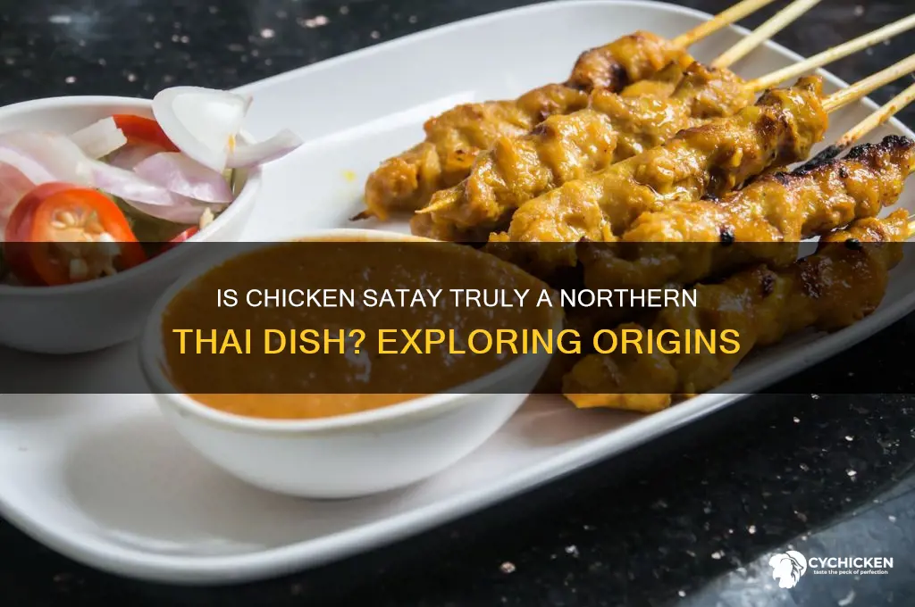 Is Chicken Satay Truly A Northern Thai Dish? Exploring Origins | CyChicken