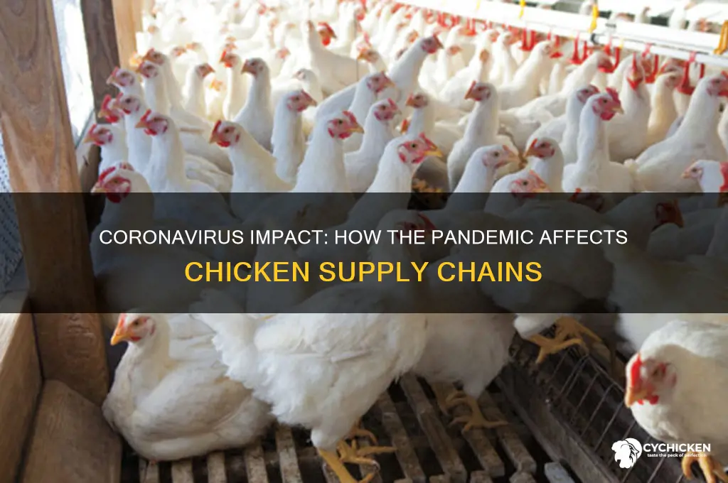 Coronavirus Impact: How The Pandemic Affects Chicken Supply Chains ...