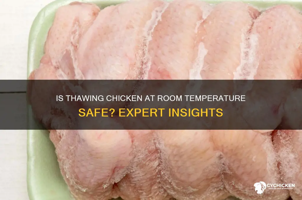 Is Thawing Chicken At Room Temperature Safe? Expert Insights | CyChicken