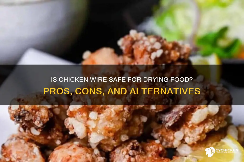 Is Chicken Wire Safe For Drying Food? Pros, Cons, And Alternatives ...