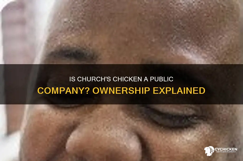Is Church's Chicken A Public Company? Ownership Explained | CyChicken