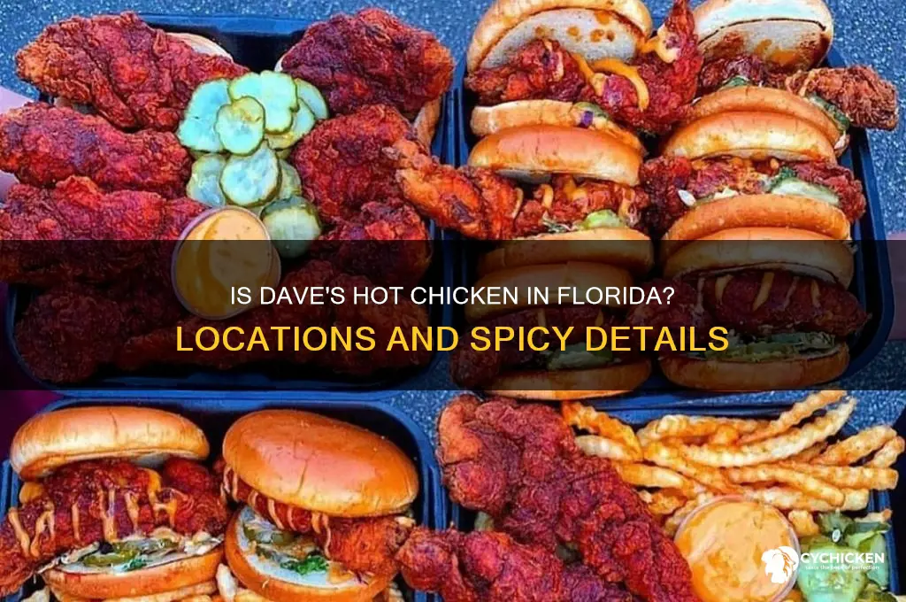 Is Dave's Hot Chicken In Florida? Locations And Spicy Details | CyChicken