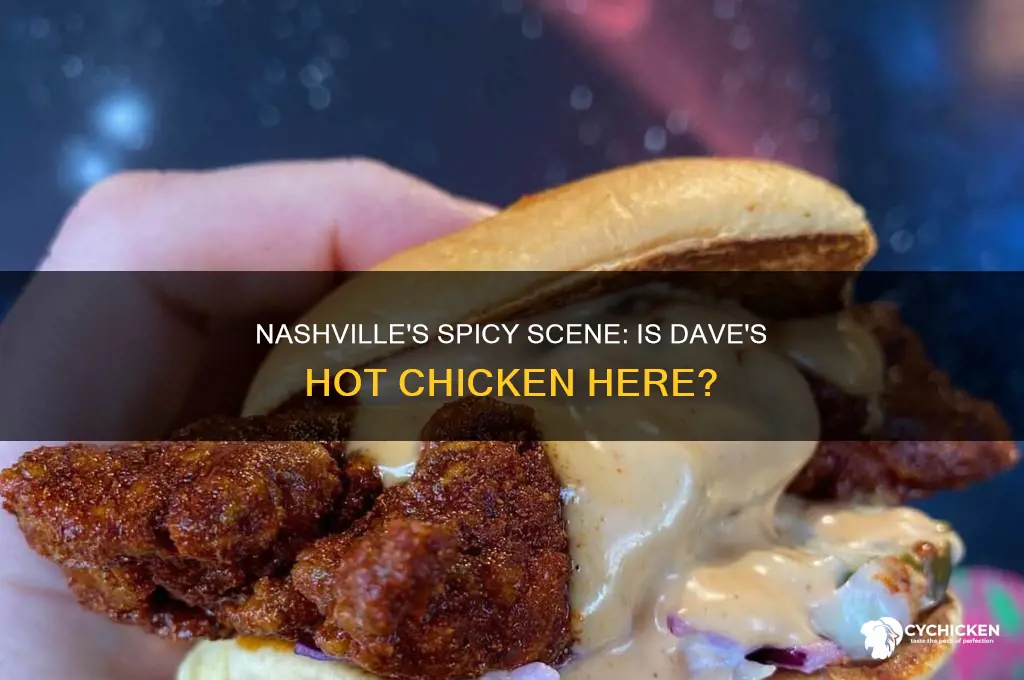 Nashville's Spicy Scene: Is Dave's Hot Chicken Here? | CyChicken