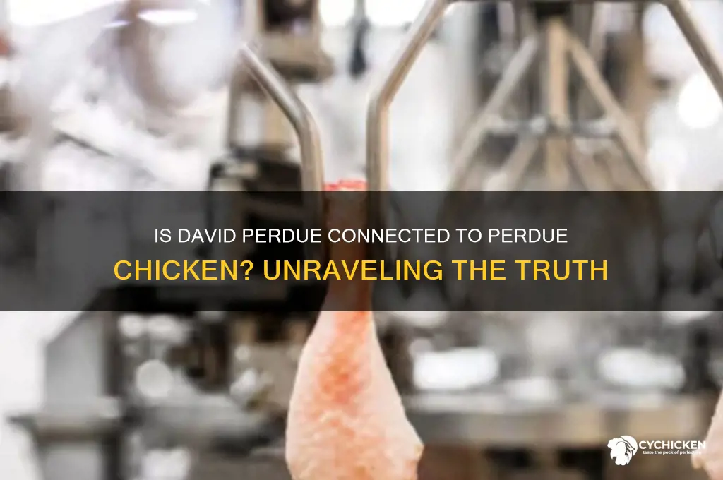 Is David Perdue Connected To Perdue Chicken? Unraveling The Truth ...