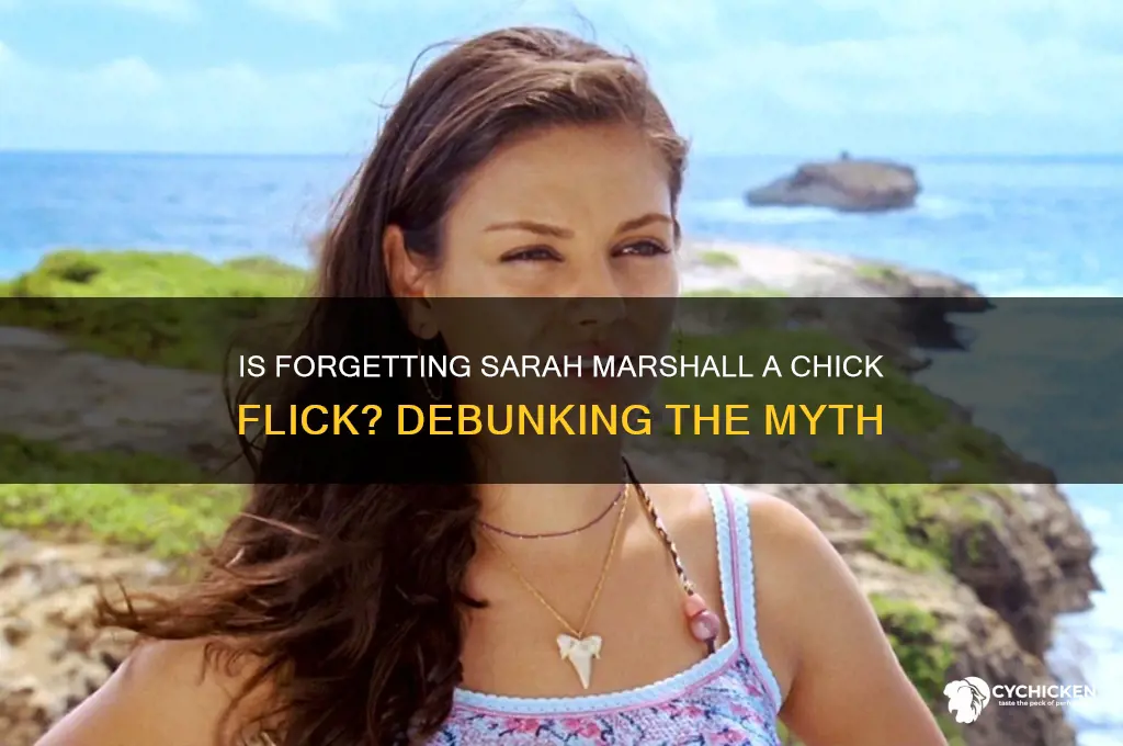 Is Forgetting Sarah Marshall A Chick Flick? Debunking The Myth | CyChicken