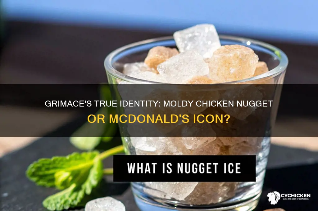Grimace's True Identity: Moldy Chicken Nugget Or Mcdonald's Icon ...