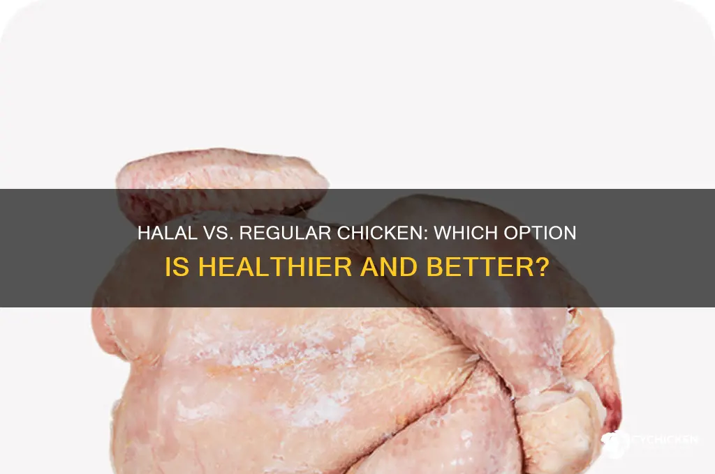 Halal Vs. Regular Chicken: Which Option Is Healthier And Better ...
