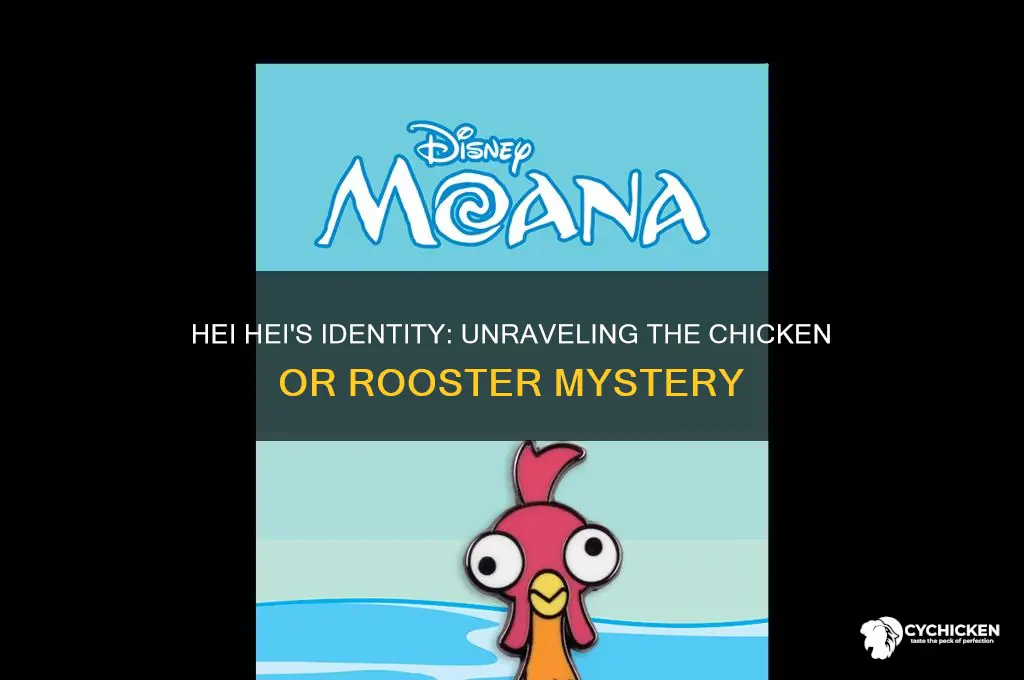 Hei Hei's Identity: Unraveling The Chicken Or Rooster Mystery | CyChicken
