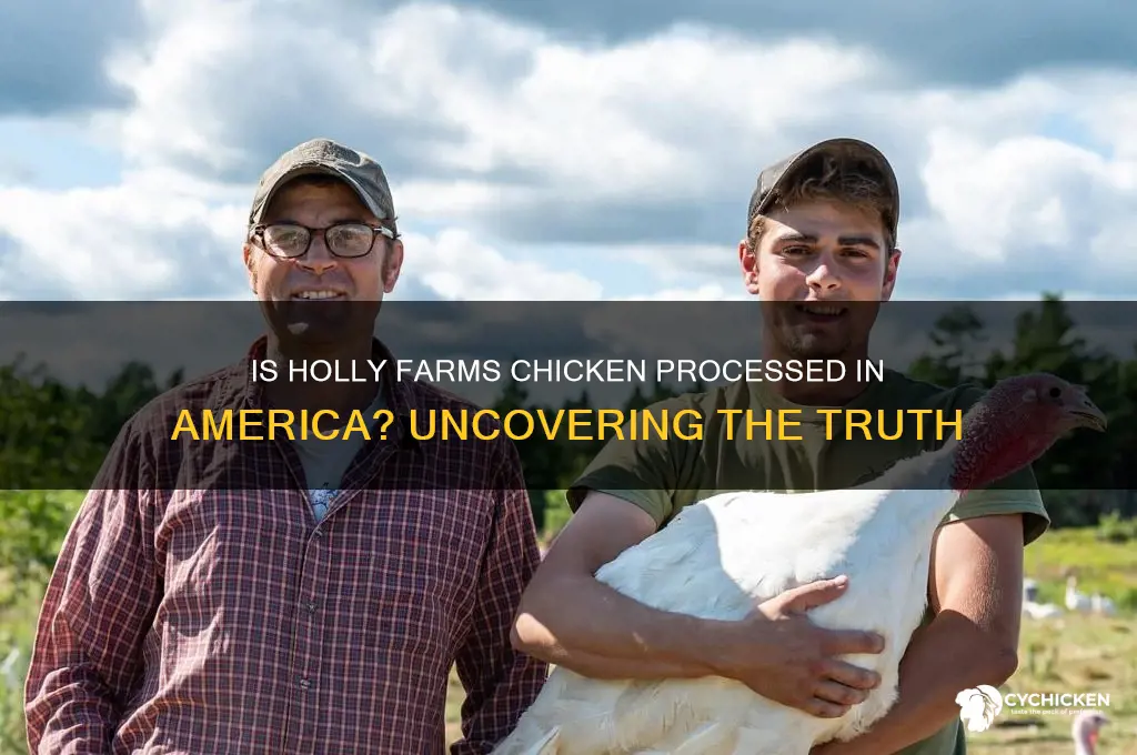Is Holly Farms Chicken Processed In America? Uncovering The Truth ...