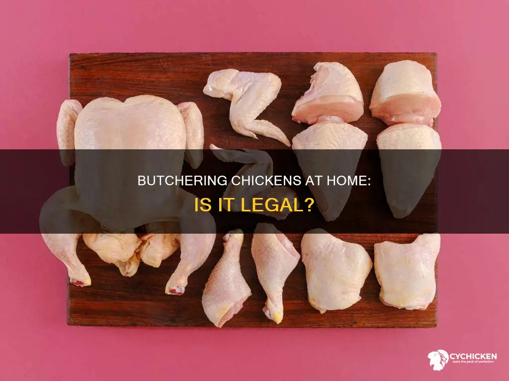 Butchering Chickens At Home: Is It Legal? | CyChicken