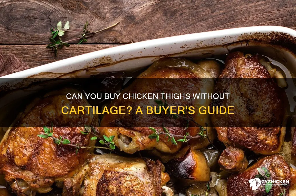 Can You Buy Chicken Thighs Without Cartilage? A Buyer's Guide | CyChicken