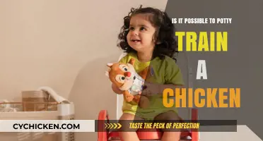 Can You Be Allergic To Chicken? Uncovering The Surprising Truth | CyChicken