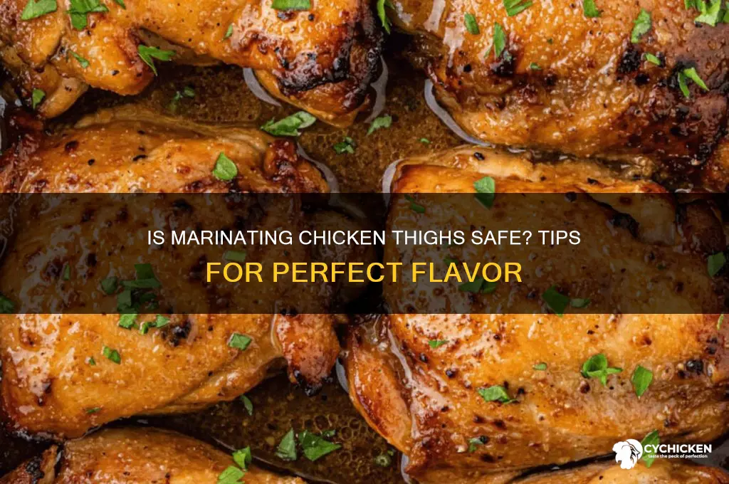 Is Marinating Chicken Thighs Safe? Tips For Perfect Flavor | CyChicken