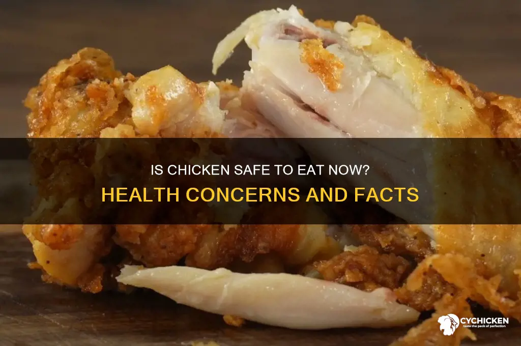 Is Chicken Safe To Eat Now? Health Concerns And Facts | CyChicken