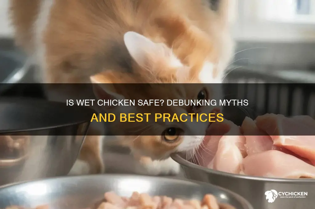 Is Wet Chicken Safe? Debunking Myths And Best Practices | CyChicken