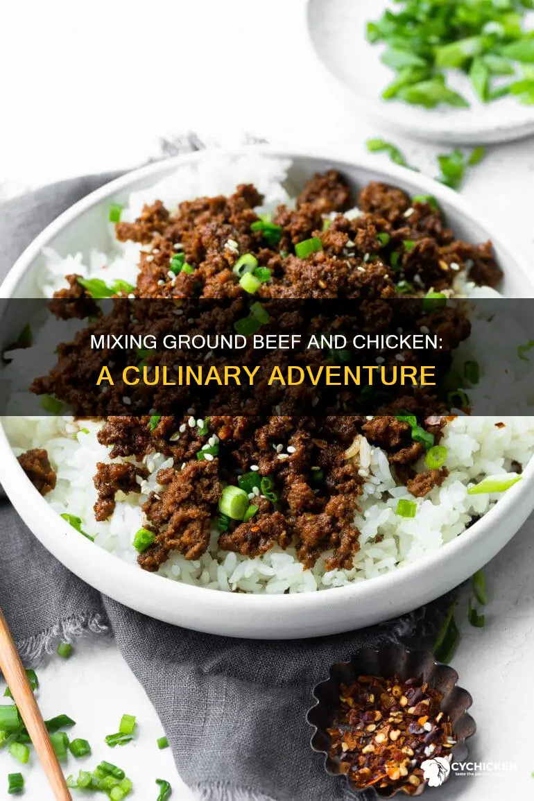 Mixing Ground Beef And Chicken: A Culinary Adventure | CyChicken
