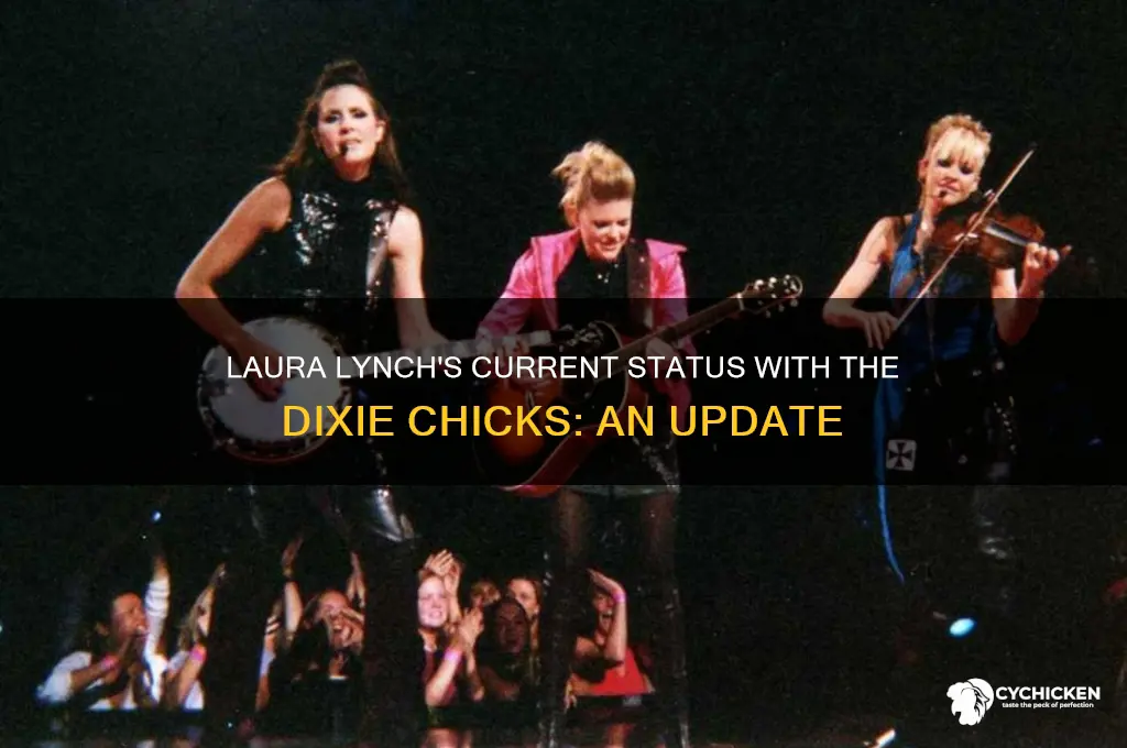 Laura Lynch's Current Status With The Dixie Chicks: An Update | CyChicken