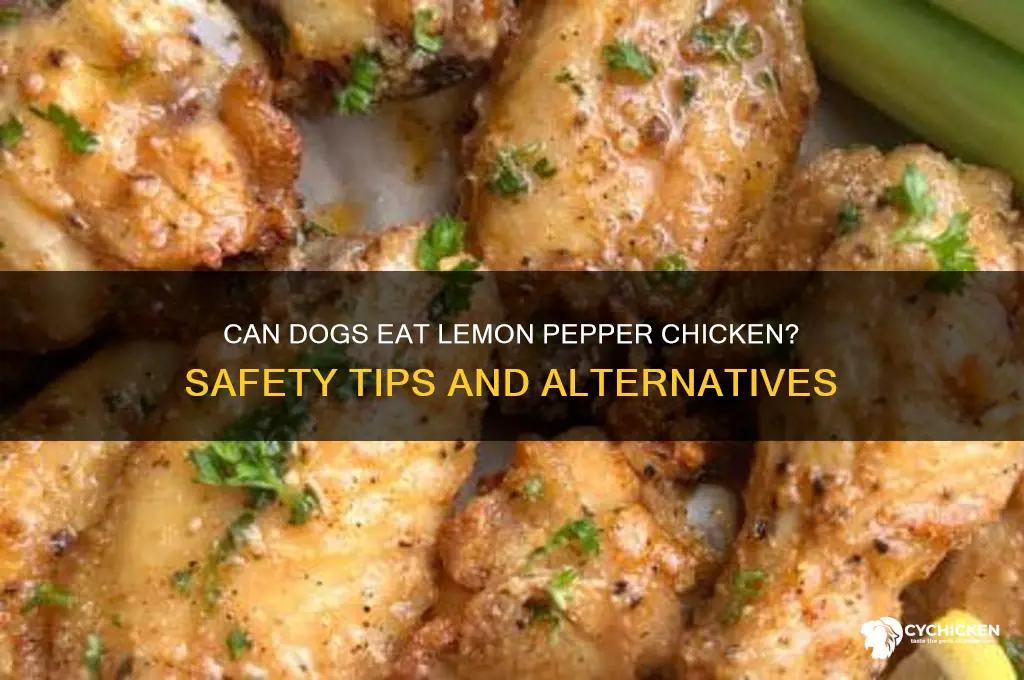 Can Dogs Eat Lemon Pepper Chicken? Safety Tips And Alternatives | CyChicken
