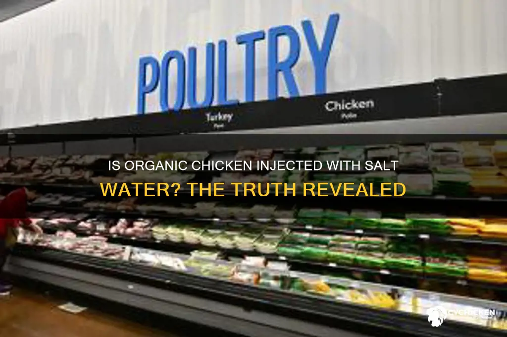 Is Organic Chicken Injected With Salt Water? The Truth Revealed | CyChicken