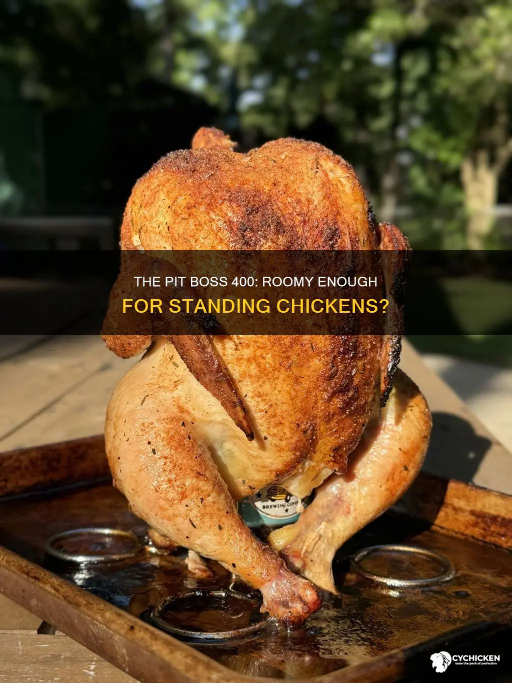 The Pit Boss 400: Roomy Enough For Standing Chickens? | CyChicken