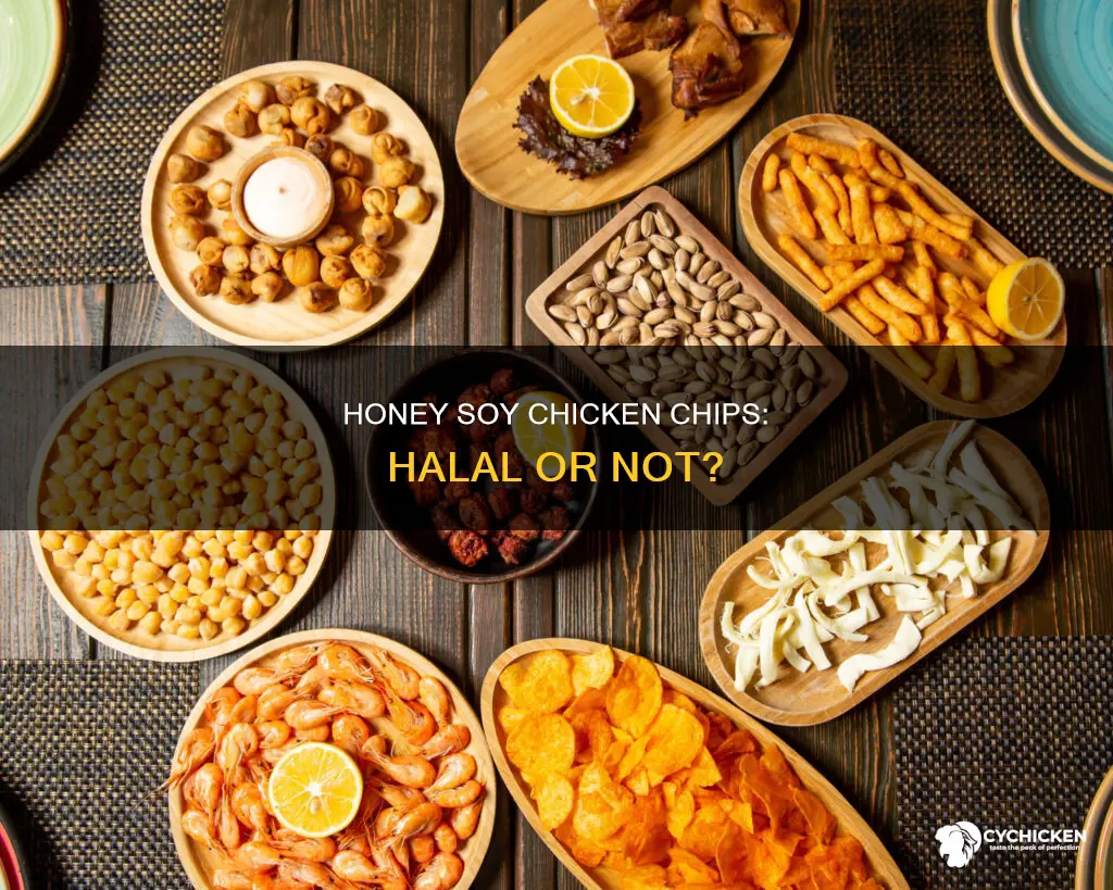 Honey Soy Chicken Chips: Halal Or Not? | CyChicken