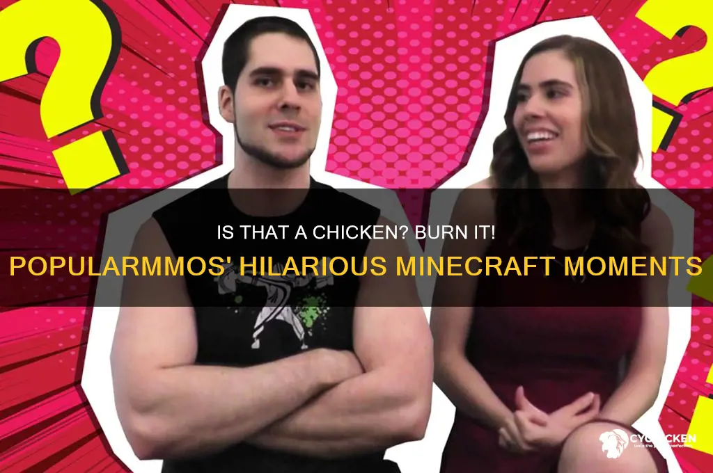 Is That A Chicken? Burn It! Popularmmos' Hilarious Minecraft Moments ...
