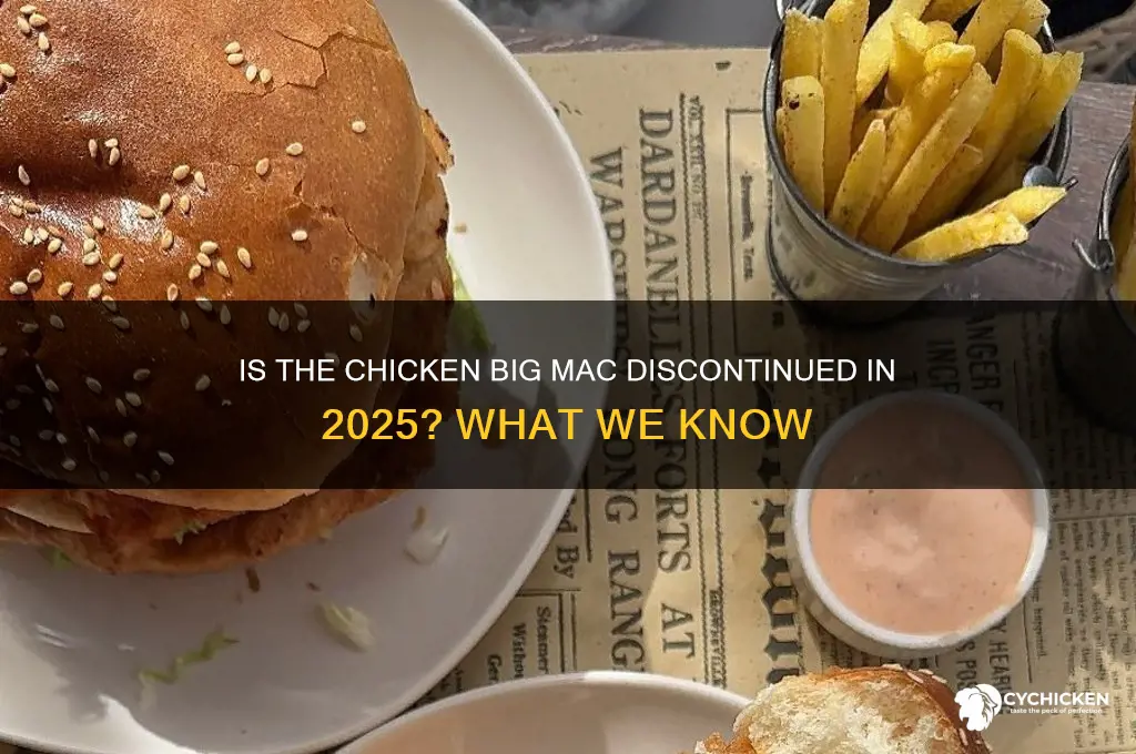 Is The Chicken Big Mac Discontinued In 2025? What We Know | CyChicken
