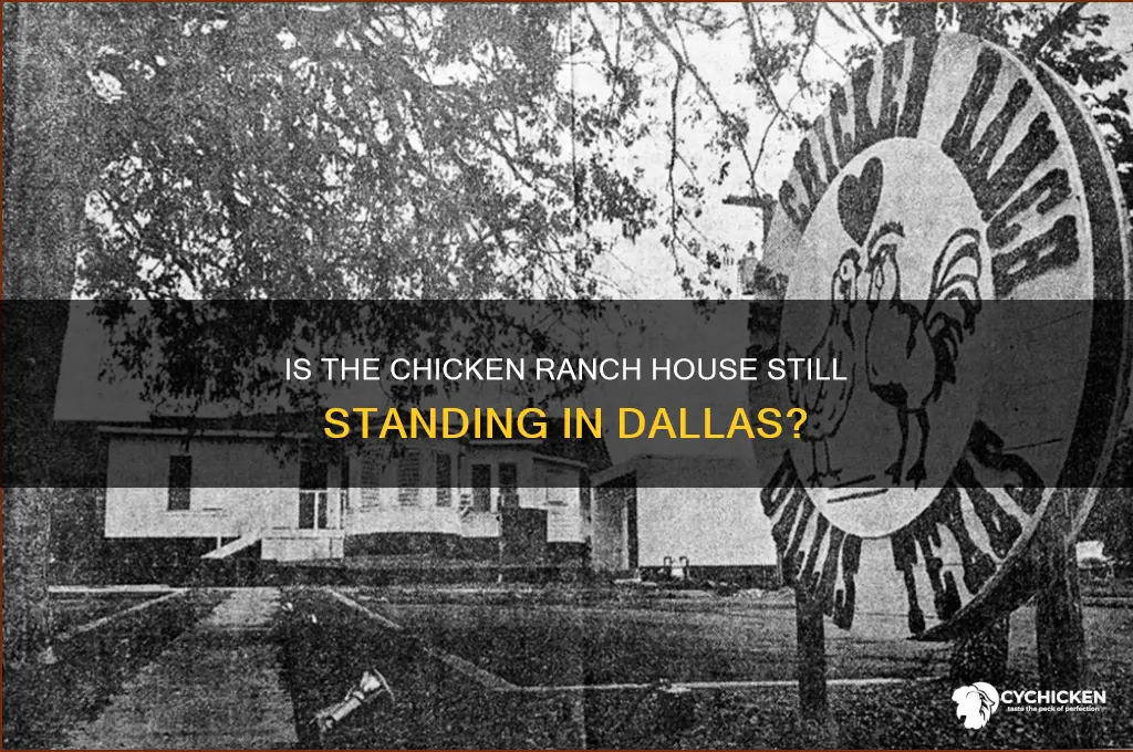 Is The Chicken Ranch House Still Standing In Dallas? | CyChicken