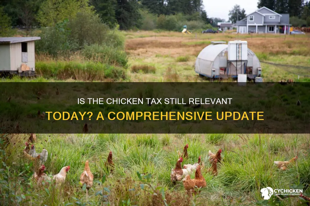 Is The Chicken Tax Still Relevant Today? A Comprehensive Update | CyChicken