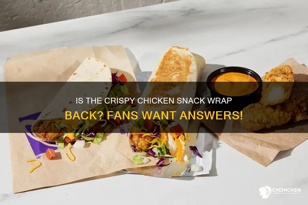 Is The Crispy Chicken Snack Wrap Back? Fans Want Answers! | CyChicken