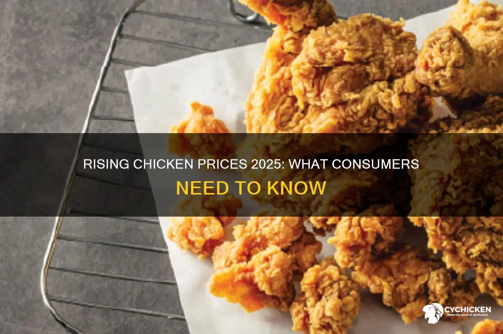 Rising Chicken Prices 2025: What Consumers Need To Know | CyChicken