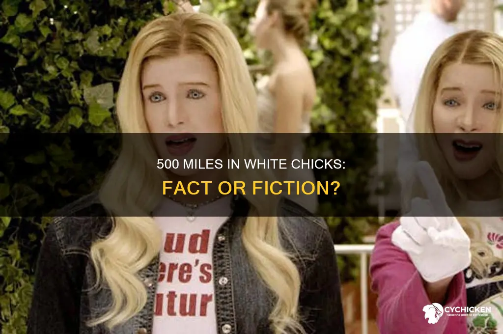 500 Miles In White Chicks: Fact Or Fiction? | CyChicken