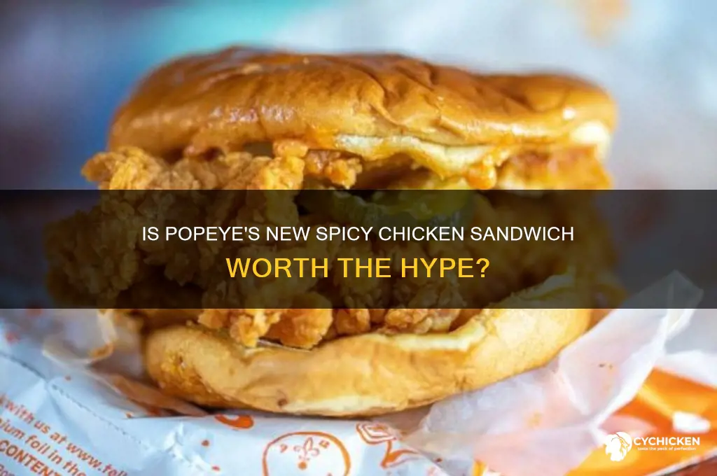 Is Popeye's New Spicy Chicken Sandwich Worth The Hype? | CyChicken
