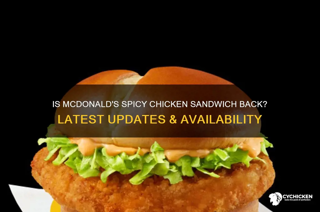 Is Mcdonald's Spicy Chicken Sandwich Back? Latest Updates ...