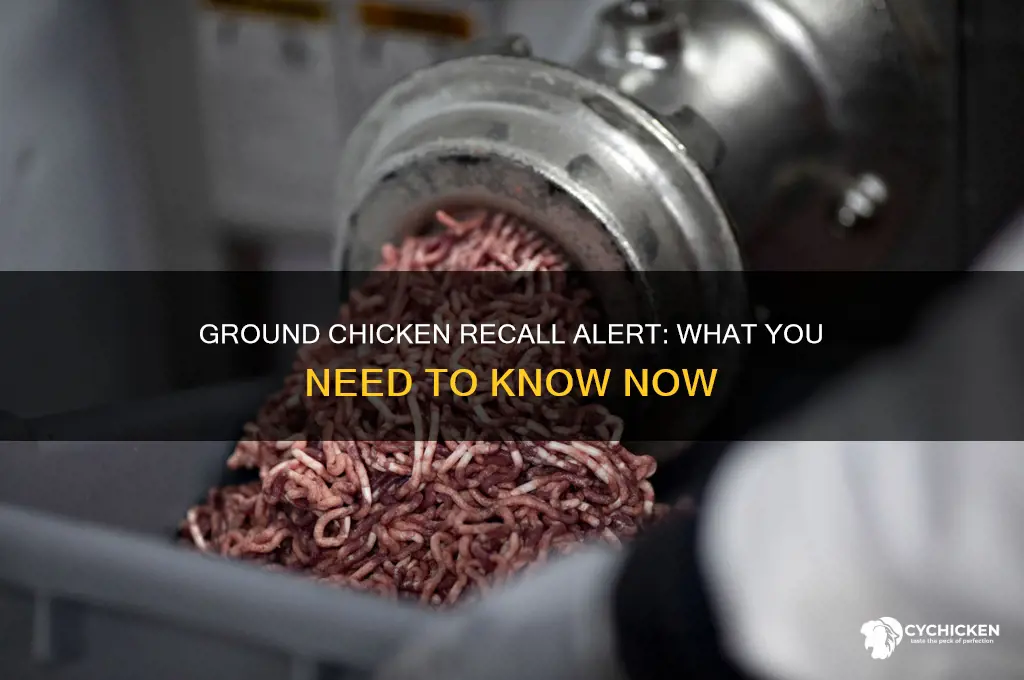 Ground Chicken Recall Alert: What You Need To Know Now | CyChicken