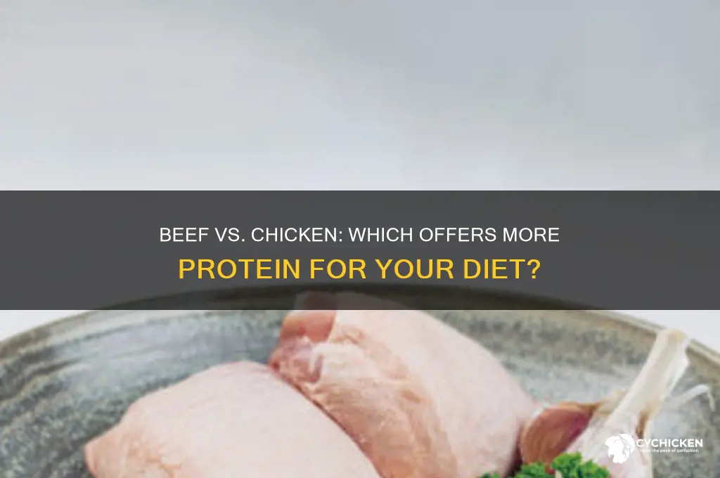 Beef Vs. Chicken: Which Offers More Protein For Your Diet? | CyChicken