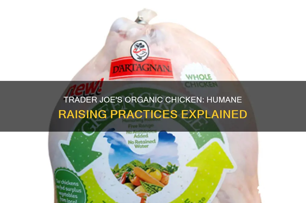 Trader Joe's Organic Chicken: Humane Raising Practices Explained ...