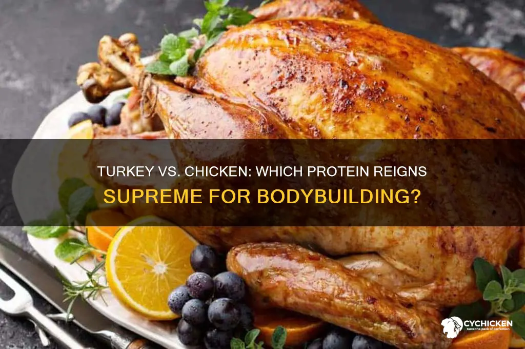 Turkey Vs. Chicken: Which Protein Reigns Supreme For Bodybuilding ...