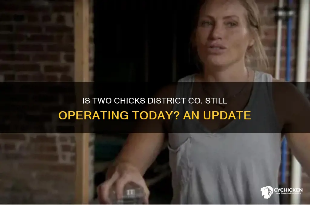 Is Two Chicks District Co. Still Operating Today? An Update | CyChicken