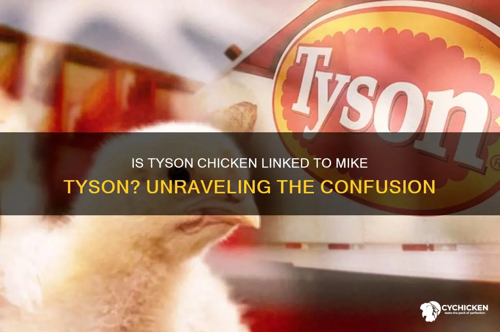 Is Tyson Chicken Linked To Mike Tyson? Unraveling The Confusion | CyChicken